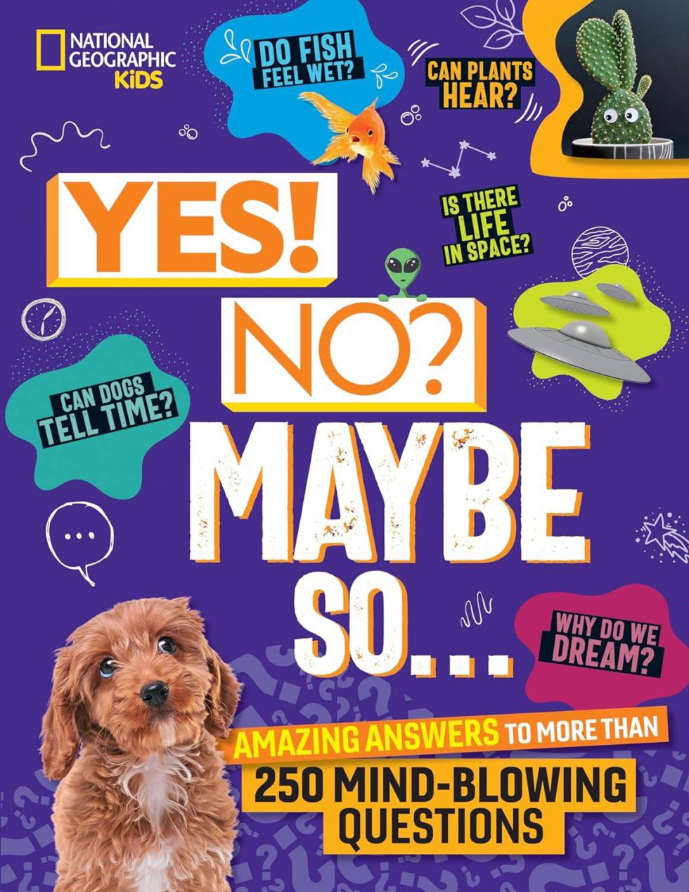 Why? Did you know…? What is…? How does…? Such an informative book ...